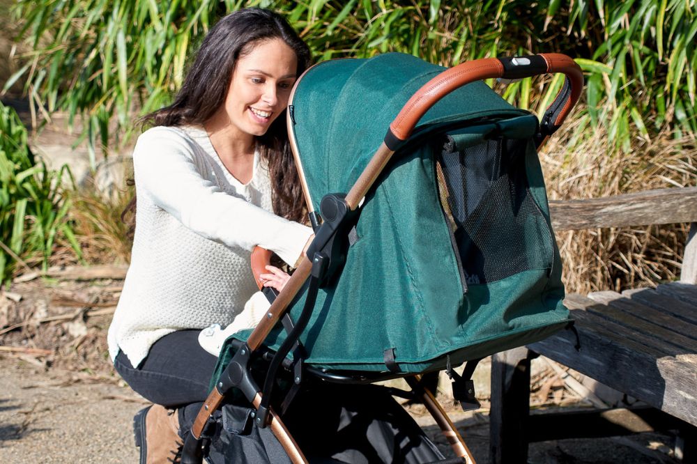Bike Pushchair Vs Regular Pushchair: Which is Best? – TheLejouxStroller