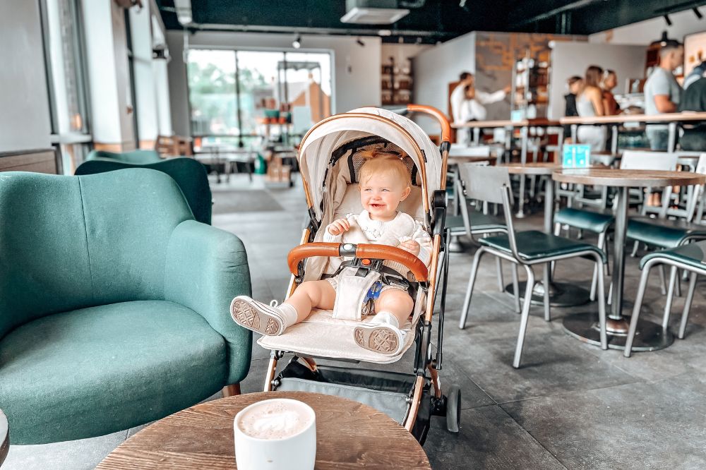 Top 5 Luxury Baby Shower Gift Ideas | The Lejoux Stroller ...