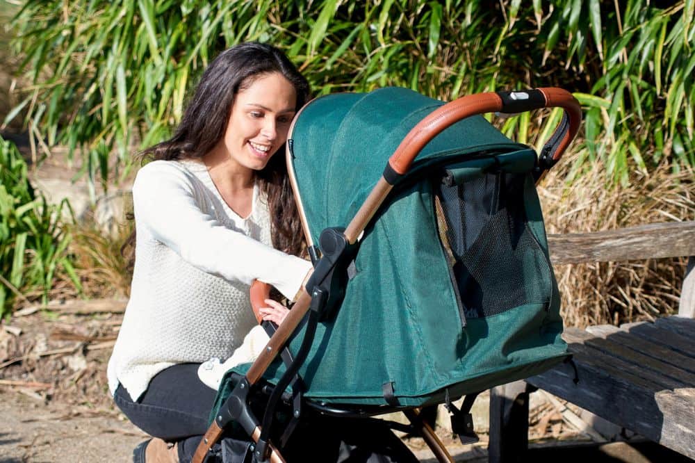 How to Choose a Stroller – TheLejouxStroller